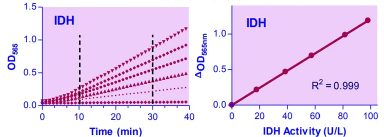 Isocitrate Dehydrogenase检测试剂盒 (ab272530)| Abcam中文官网