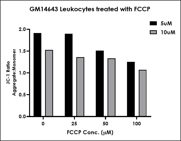 JC-1 - Mitochondrial Membrane Potential Assay Kit (ab288313) | Abcam