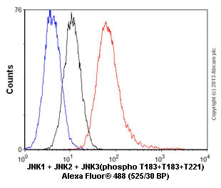 Anti-JNK1 + JNK2 + JNK3 (phospho T183+T183+T221) antibody [EPR5693] (ab124956) | Abcam