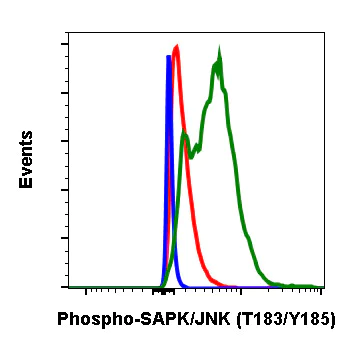 Anti-JNK1 (phospho T183 + Y185) antibody [SAPKT183Y185-A11] (ab278616 ...