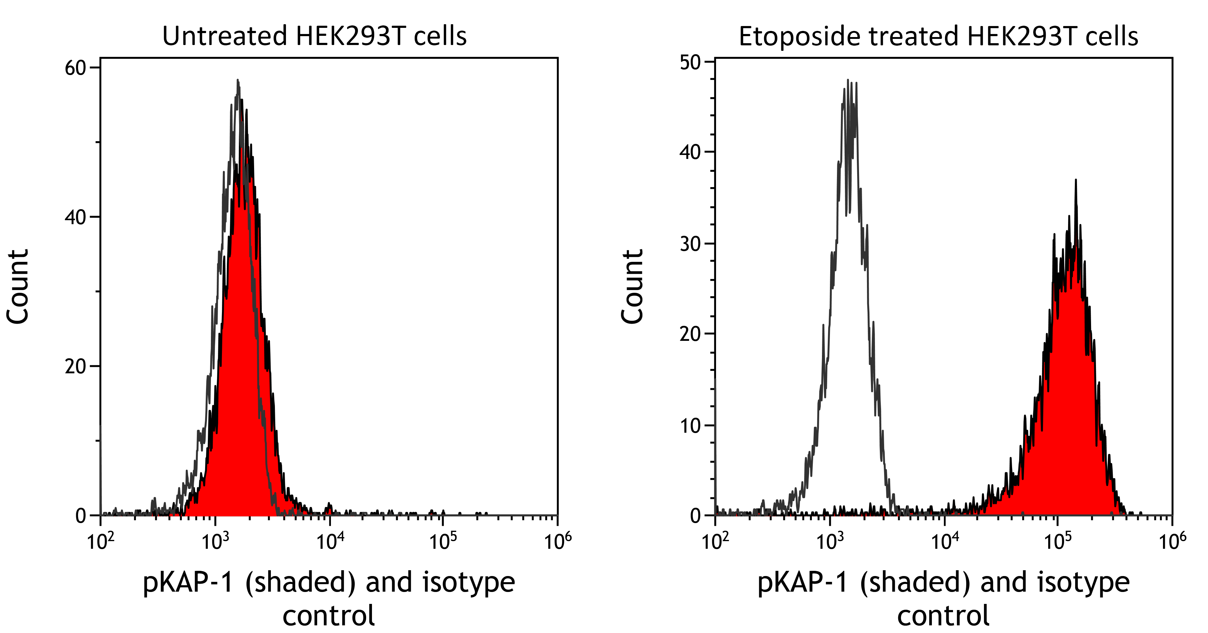 Anti-KAP1 (phospho S824) antibody [BL-246-7B5] (ab243870) | Abcam