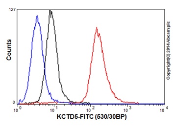 Anti-KCTD5 antibody [EPR16312] - C-terminal (ab194825) | Abcam