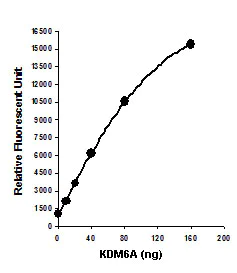 KDM6A/KDM6B Activity Quantification Assay Kit (Fluorometric) (ab156911 ...