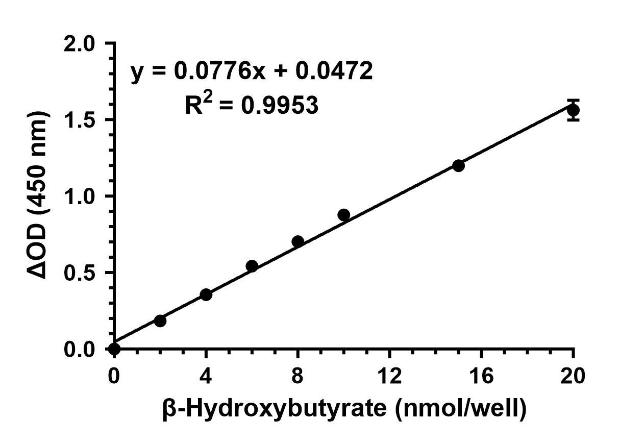 Ketone Body Assay Kit (ab318308) | Abcam