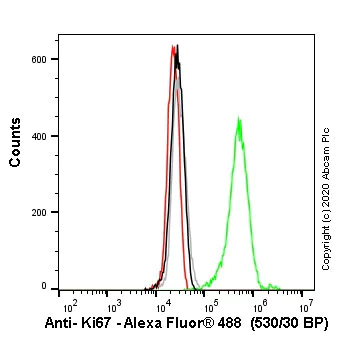 Anti-Ki67 antibody [37C7-12] (ab245113) | Abcam