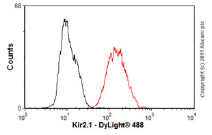 Anti-Kir2.1/KCNJ2 antibody [S112] (ab85492) | Abcam