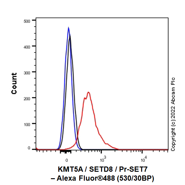 Anti-KMT5A / SETD8 / Pr-SET7 antibody [EPR24381-24] (ab300517) | Abcam