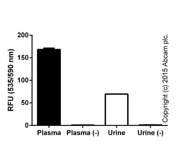 L-Lactate Assay Kit (Colorimetric/Fluorometric) (ab65330/K607-100) | アブカム