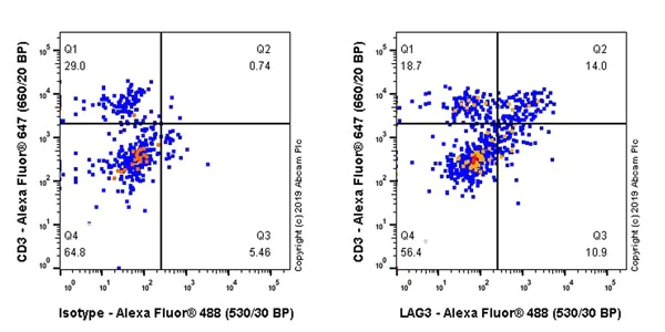 Anti-LAG-3 antibody [CAL26] (ab237719) | Abcam