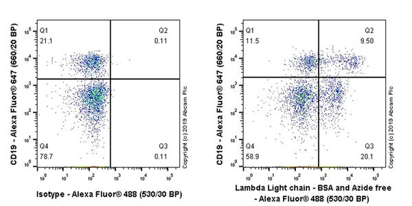 Anti-Lambda Light chain antibody [1-155-2] - BSA and Azide free (ab270744) | Abcam