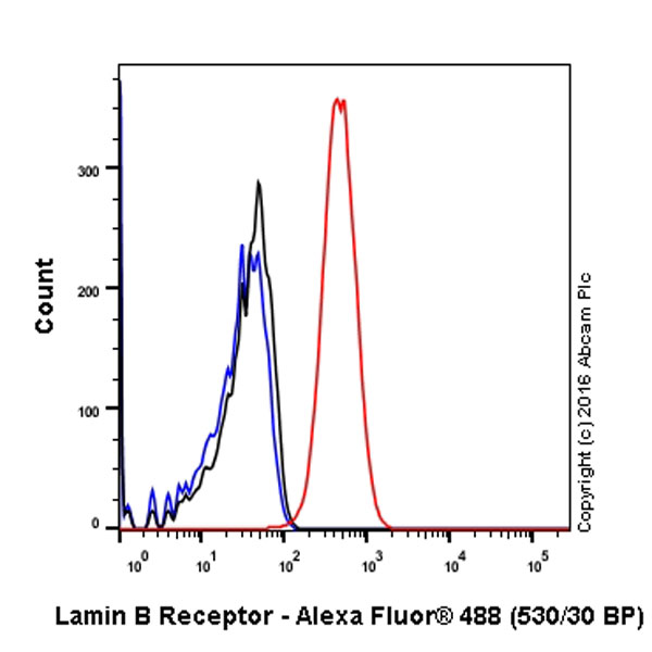 Anti-Lamin B Receptor/LBR antibody [E398L] KO tested (ab32535) | Abcam