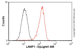LAMP1抗体[H4A3] - Lysosome Marker (ab25630)| Abcam中文官网