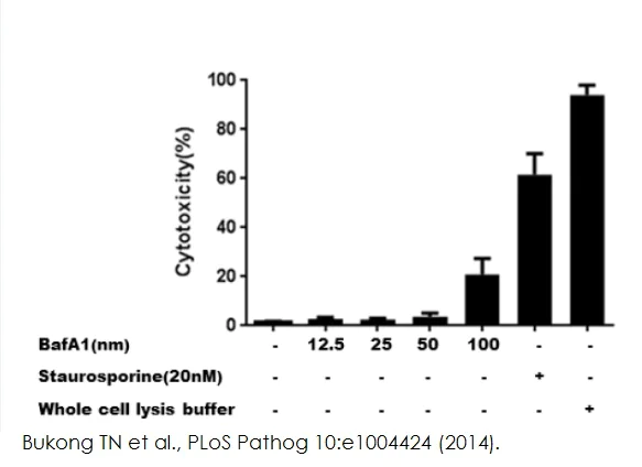 LDH Assay Kit. Cytotoxicity. LDH Release. (ab65393/K313) | Abcam