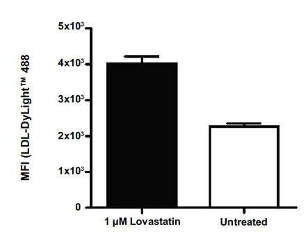 LDL Uptake Assay Kit (Flow cytometry) (ab236208) | Abcam