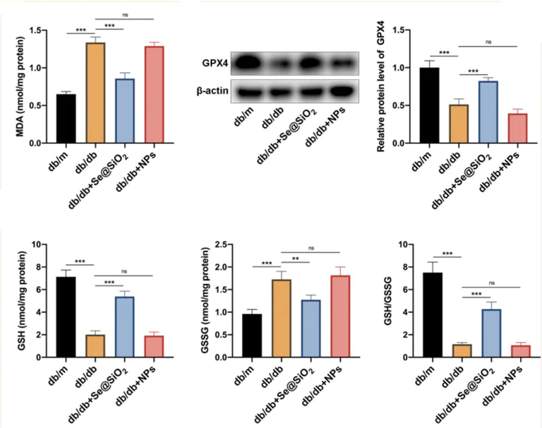 Lipid Peroxidation (MDA) Assay Kit TBARS assay (ab118970/K739) | Abcam