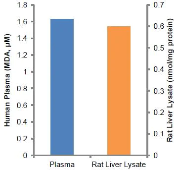 Lipid Peroxidation (MDA) Assay Kit TBARS assay (ab118970/K739) | Abcam