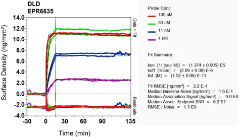 Anti-Lipoamide Dehydrogenase antibody [EPR6635] (ab133551) | Abcam