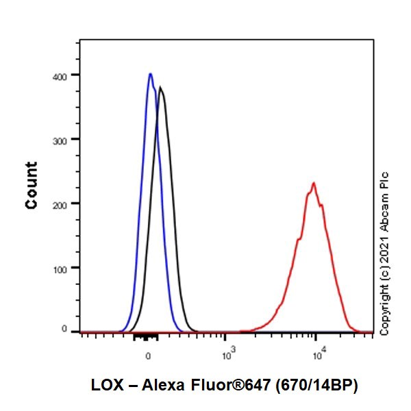Anti-LOX antibody [EPR4025] (ab174316) | Abcam