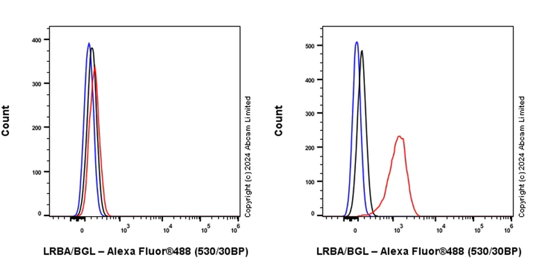 Anti-LRBA/BGL antibody [EPR29133-75] (ab322661) | Abcam