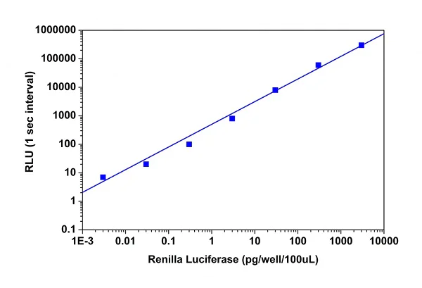 Luciferase Reporter Assay底物试剂盒- Renilla (ab228546)| Abcam中文官网