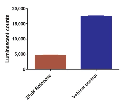 Luminescent ATP Detection Assay Kit. Cell viability. ab113849 | Abcam