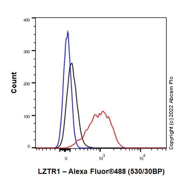 Anti-LZTR1 antibody [EPR25253-51] - BSA and Azide free (ab289988) | Abcam