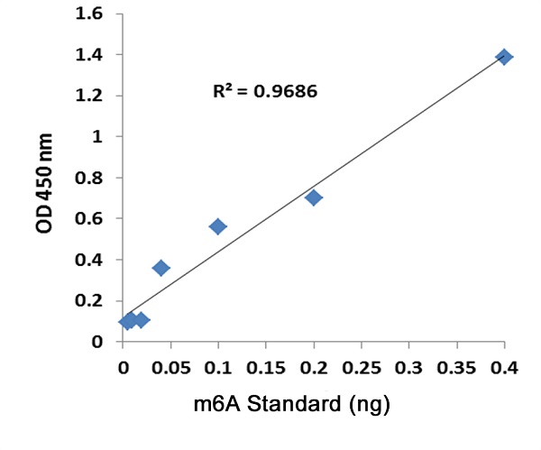 m6A DNA Methylation Assay Kit (Colorimetric) (ab233488) | Abcam