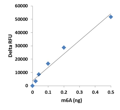 m6A RNA Methylation Assay Kit (Fluorometric) (ab233491) | Abcam