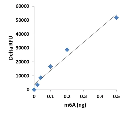 m6A RNA Methylation Assay Kit (Fluorometric) (ab233491) | Abcam