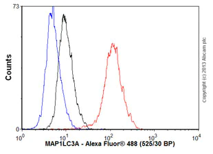 MAP1LC3A抗体[EP1983Y] - Autophagosome Marker (ab52768)| Abcam中文官网