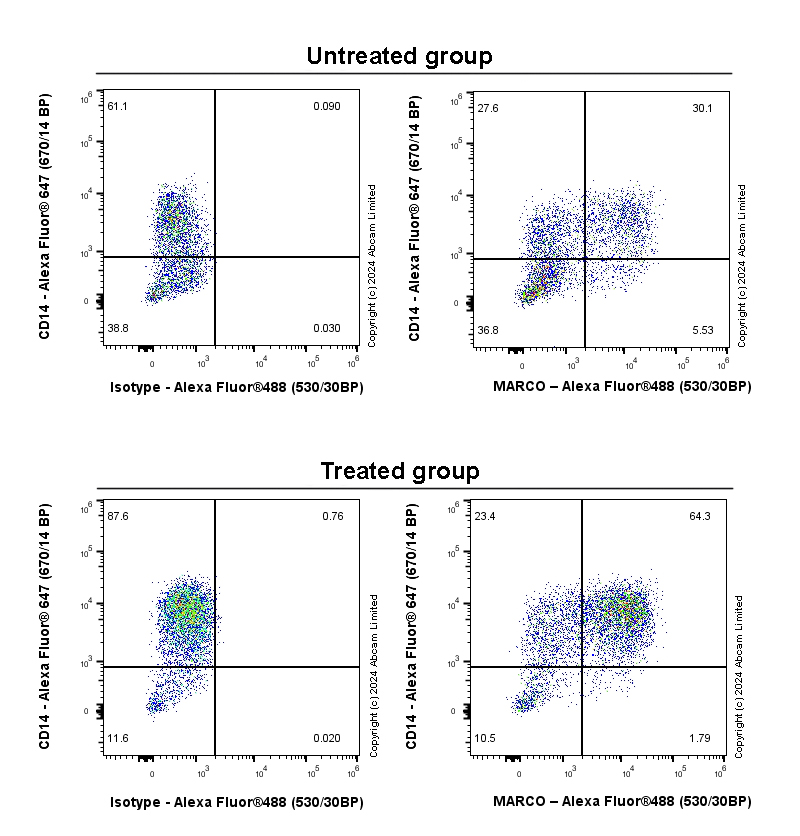 Anti-MARCO antibody [RM2074] (ab322705) | Abcam