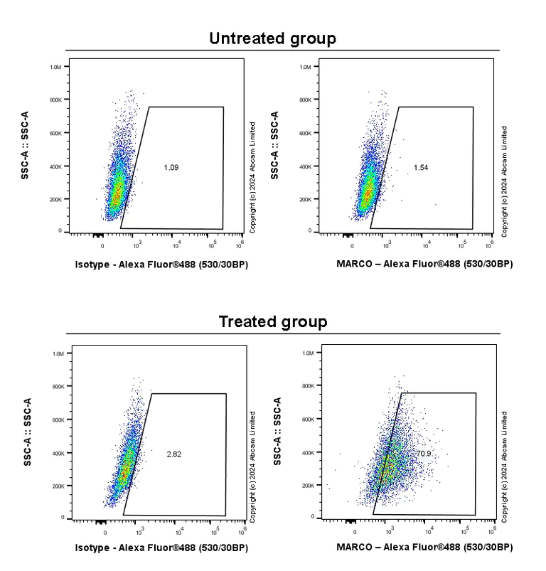 Anti-MARCO antibody [RM2074] (ab322705) | Abcam中文官网