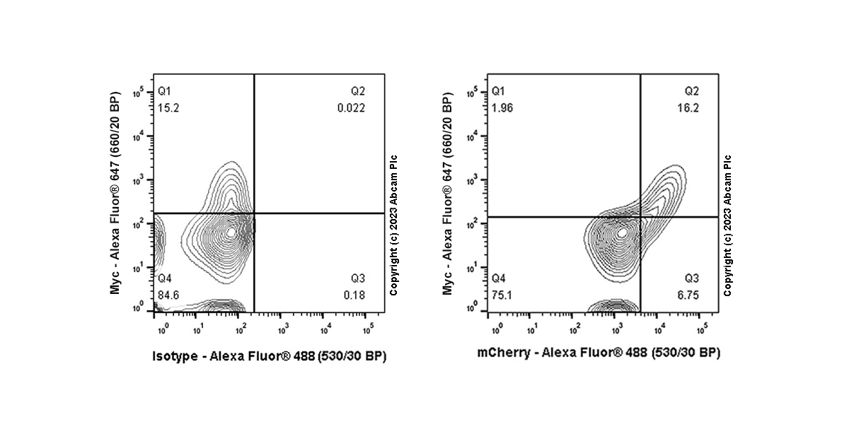 Anti-mCherry antibody [EPR20579] - BSA and Azide free (ab232341) | Abcam