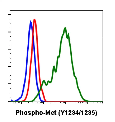 Met (c-Met)(磷酸化Y1234 + Y1235)抗体[MetY12341235-6F11] (ab278552)| Abcam中文官网