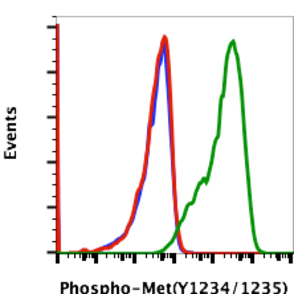 Met (c-Met)(磷酸化Y1234 + Y1235)抗体[MetY12341235-6F11] (ab278552)| Abcam中文官网