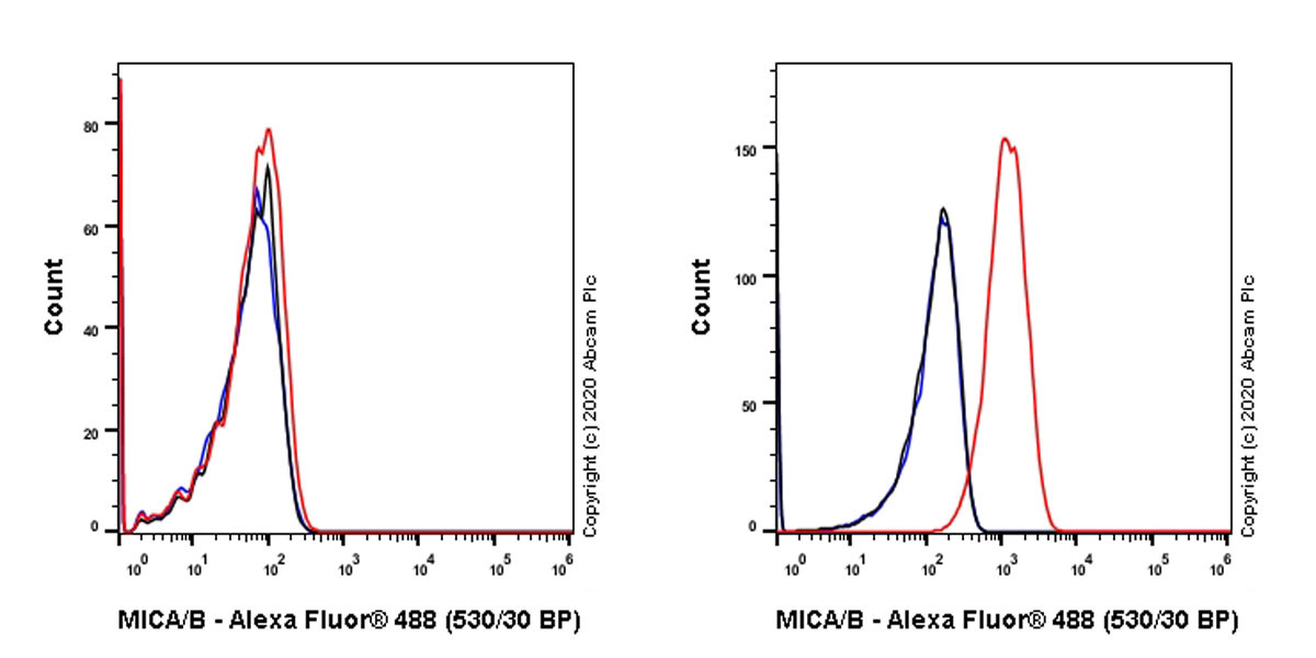 Anti-MICA + MICB antibody [6D4] (ab54413) | Abcam