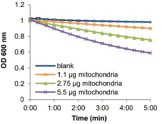 Mitochondrial Complex I Activity Colorimetric Assay Kit (ab287847) | Abcam