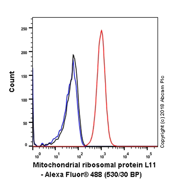 Anti-Mitochondrial ribosomal protein L11 antibody [EPR9111(B)] - BSA ...