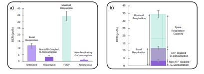 Mitochondrial Stress Test Complete Assay Kit (ab232857) | Abcam