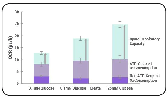 Mitochondrial Stress Test Complete Assay Kit (ab232857) | Abcam