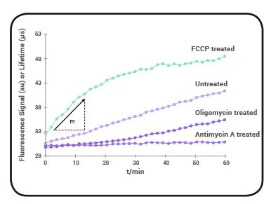 Mitochondrial Stress Test Complete Assay Kit (ab232857) | Abcam