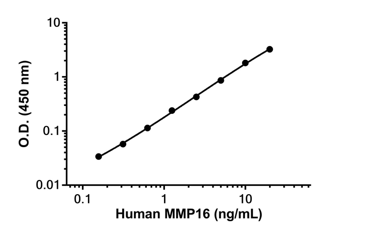 Anti-MMP16 antibody [EPR26961-81] - BSA and Azide free (ab314577) | Abcam