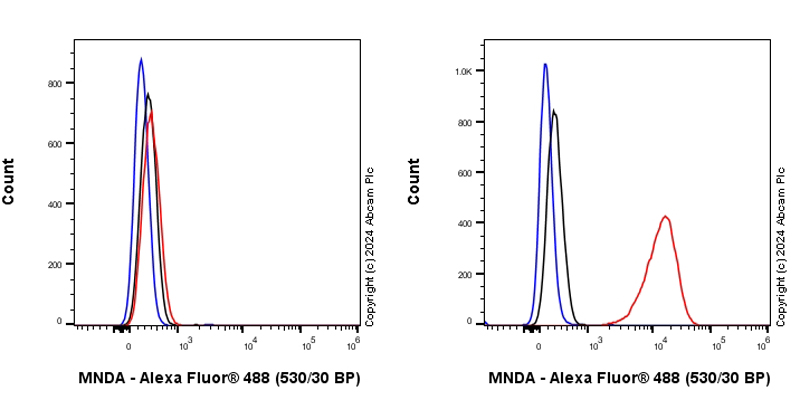 Anti-MNDA antibody [EPR28267-44] (ab316967) | Abcam