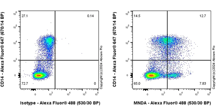 Anti-MNDA 抗体 [EPR28267-44] - BSA and Azide free (ab316968) | Abcam