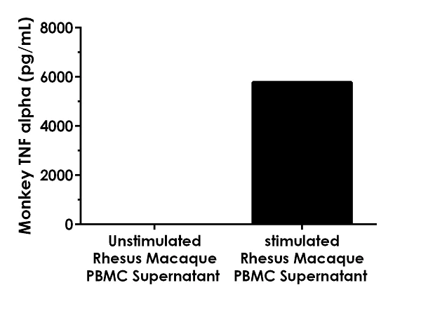 Monkey TNF alpha ELISA Kit (ab252354) | Abcam