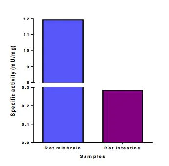 Monoacylglycerol Lipase (MAGL) Activity Assay Kit (ab273326) | Abcam