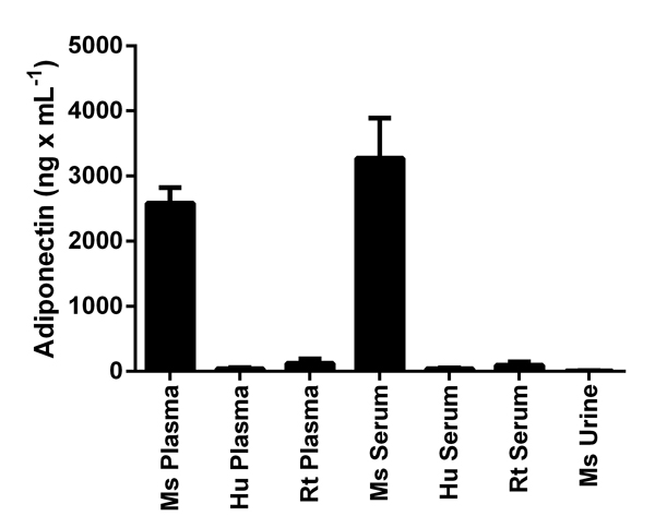 Mouse Adiponectin ELISA Kit (ab108785) | Abcam