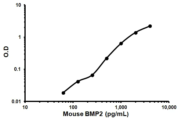 Mouse BMP2 ELISA Kit (ab119582) | Abcam