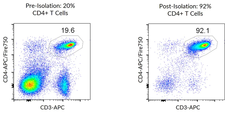 Mouse CD4+ T Cell Isolation Kit (ab322028) | Abcam