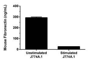 Mouse Fibronectin ELISA Kit (ab210967) | Abcam